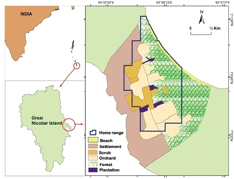 Activity budget and habitat use in the Nicobar long-tailed macaque ...
